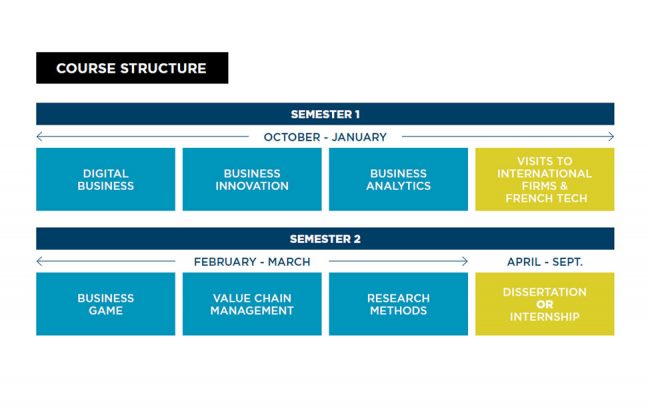 MSc Digital Business Analytics - EMLV Business School Paris